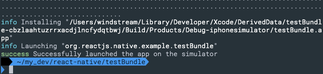 [React-Native] iOS 카탈리나 및 ZSH 업그레이드 후 실행/빌드 에러