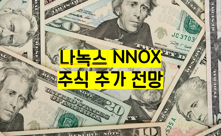 나녹스 주가 전망 NNOX 는 어떤회사? FDA 승인?
