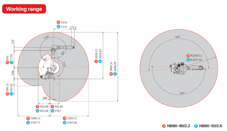 ROKAE ROBOTICS NB80-80/2.2