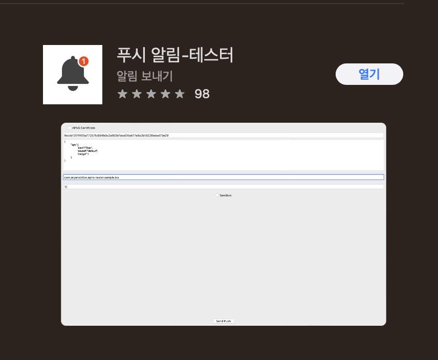 [SwiftUI] Remote Notification 원격 알림 (1)
