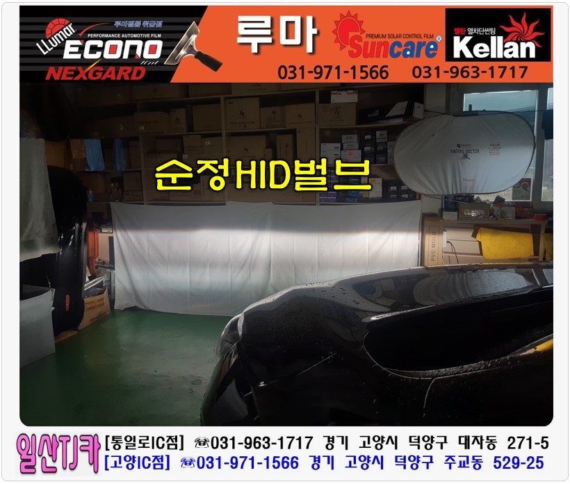 파주 Led 전조등 합법 Bpi Led 라이트 전구 파주 브라비오 파주 엑셀라이트 파주 필립스 파주 더플래쉬 파주 베가럭스 파주