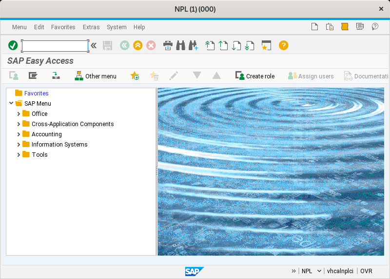[SAP 752 SP04] SAP GUI 설치와 라이선스 확인