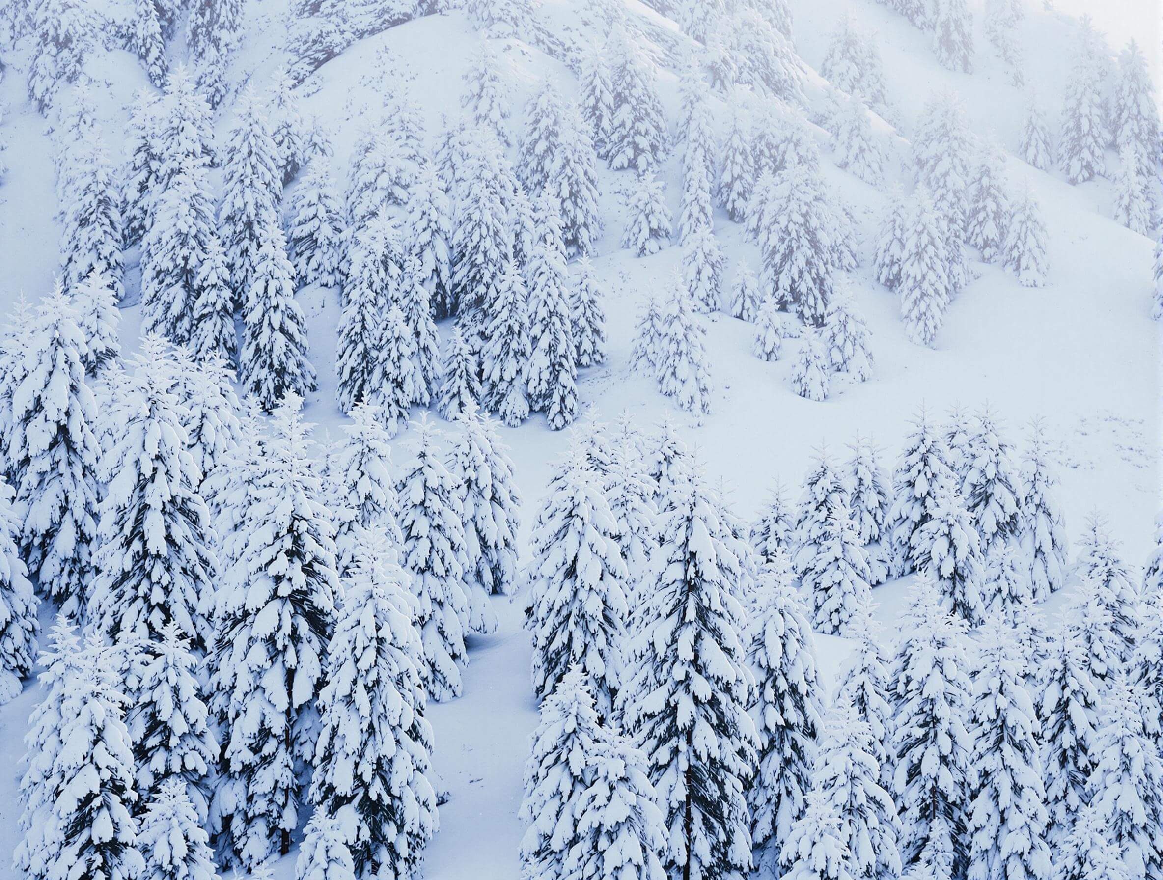 한라산 겨울 등반 준비물, 추천코스, 예약방법