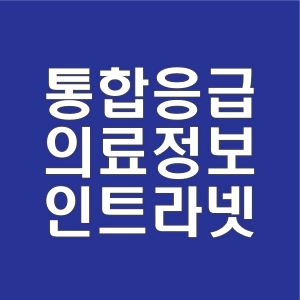 중앙응급의료센터 통합응급의료정보 인트라넷 (https://portal.nemc.or.kr:444)