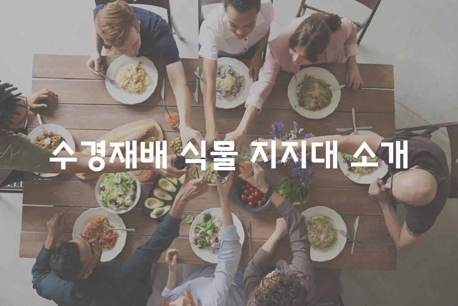 수경재배 식물 지지대 소개