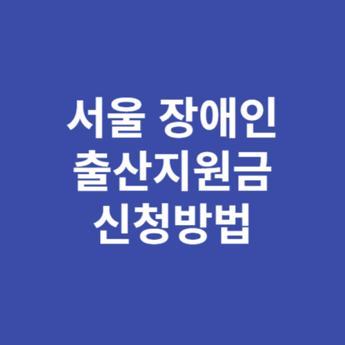 서울 거주 장애인 출산지원금 신청방법 자격 대상 이코노미 뉴스