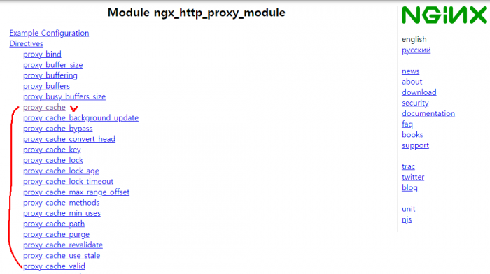 (Cache-1) Nginx reverse proxy 로 Cache 기능활용 :: CHLUX