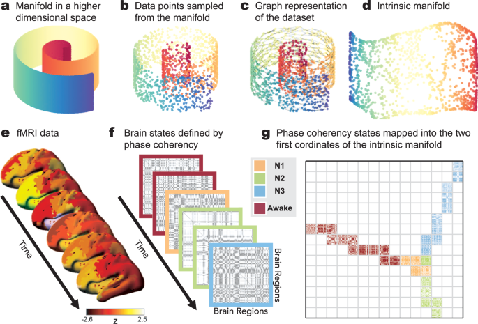 MLP,비선형 엑티베이션 MobileNetV2 논문 리뷰
