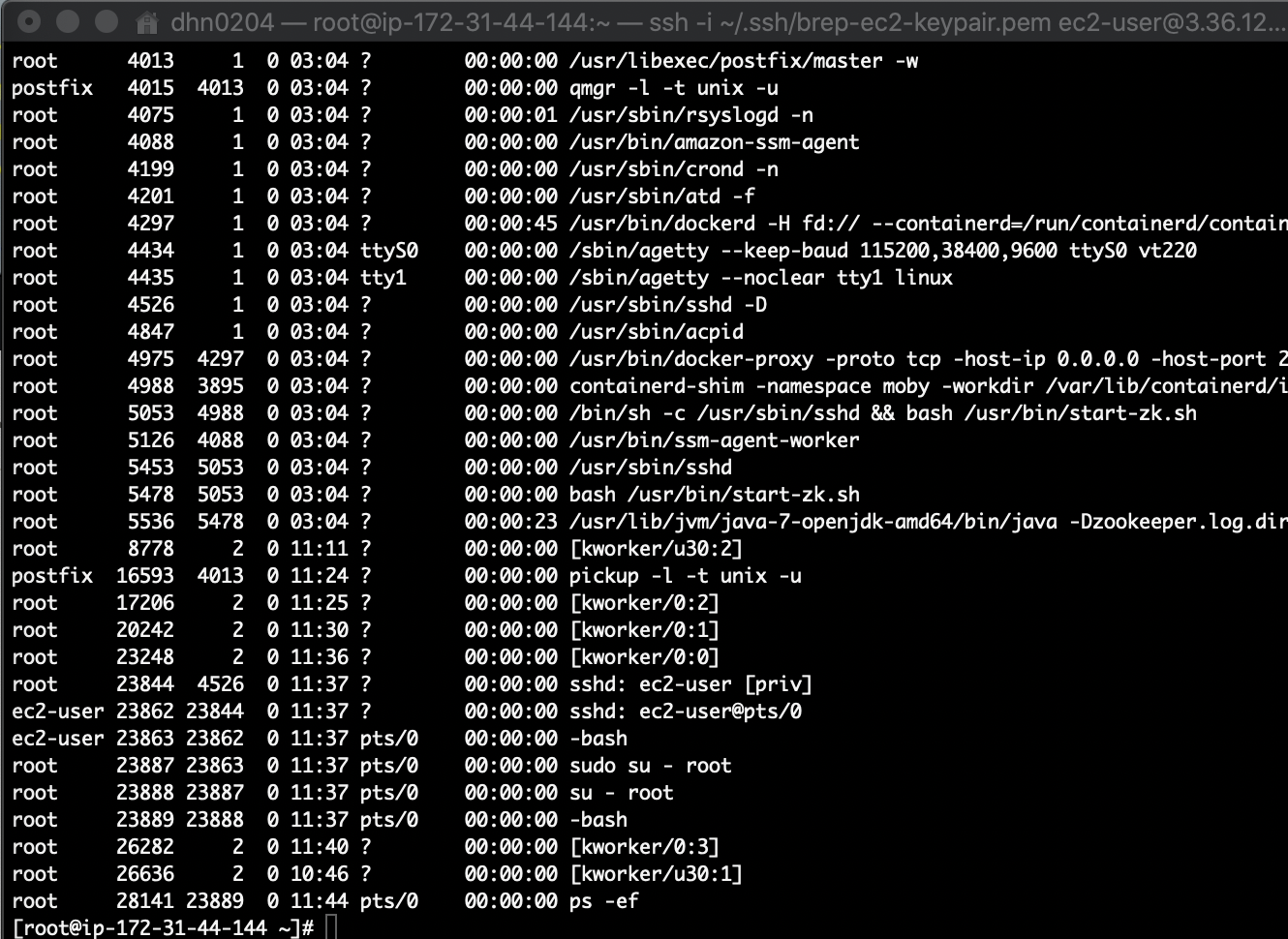 [Linux] Process Status (PS)