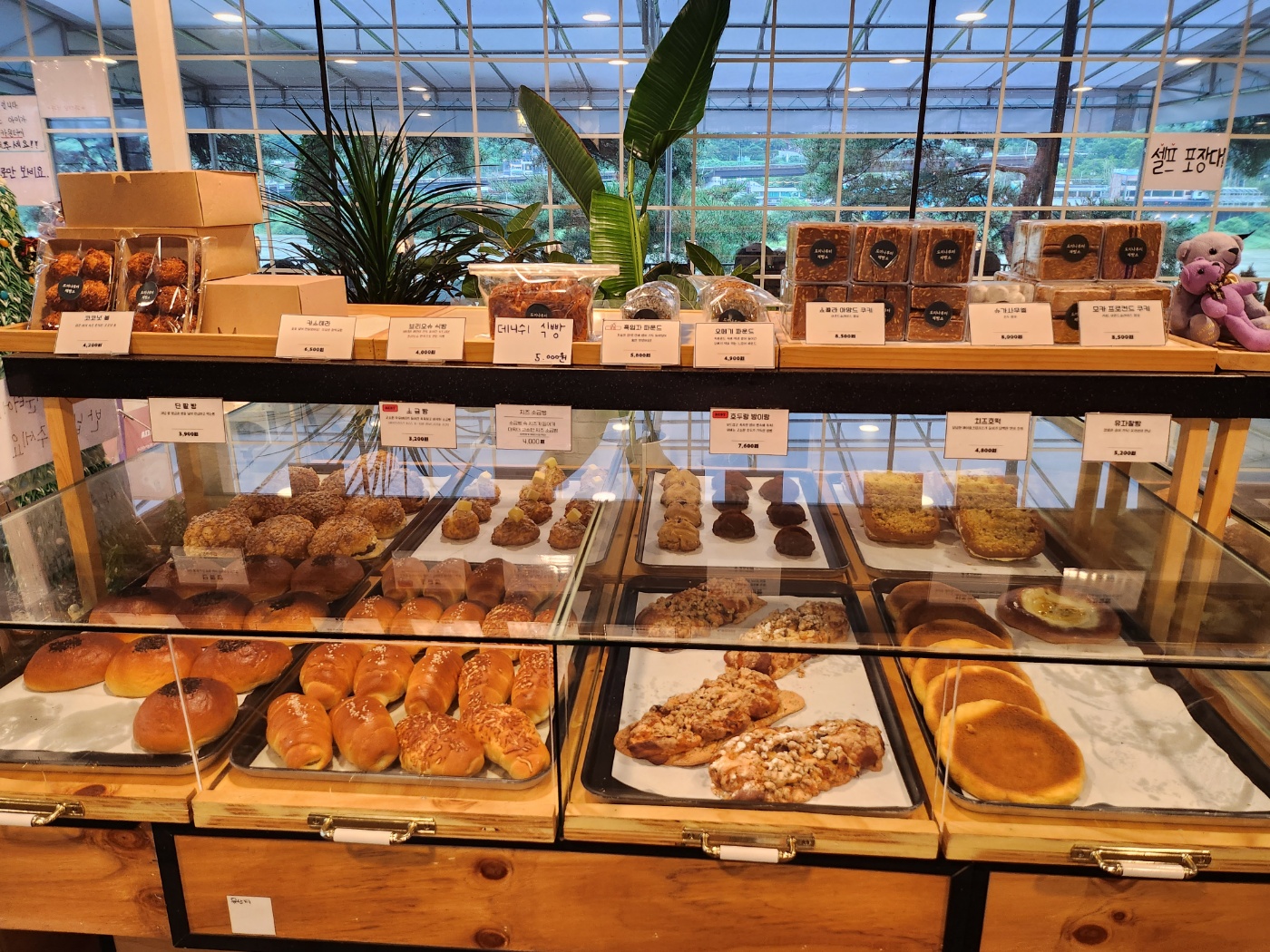 하남 빵집 팔당 빵집 뷰맛집 북한강카페 도미나루터 제빵소