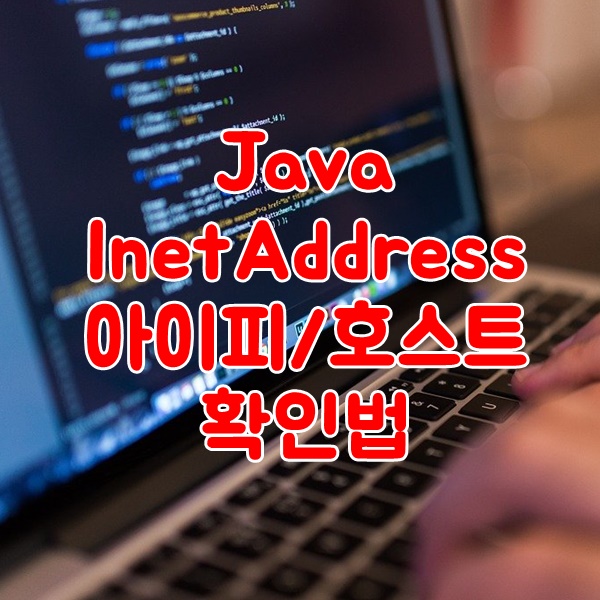 [Java] 접속한 서버 IP 확인 및 InetAddress 클래스 이해하기