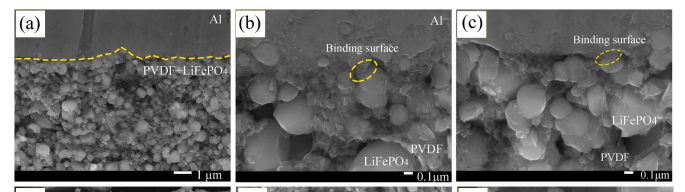 Binding mechanisms of PVDF in lithium ion batteries
