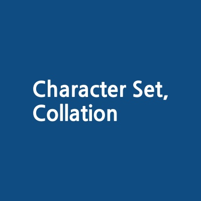 [DB] Character Set, Collate이란 무엇인가?