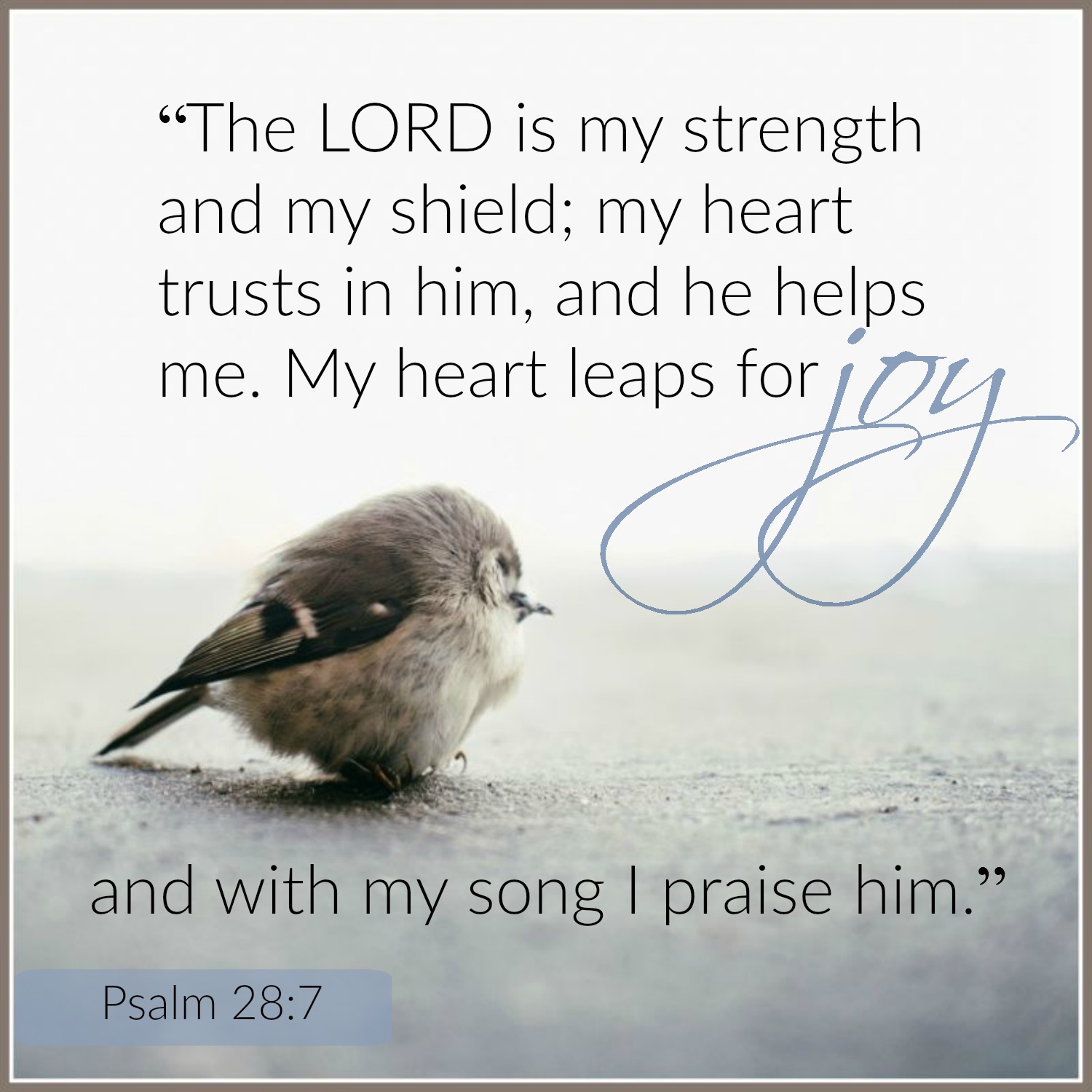 시편(Psalms) 28:1-9(주께 간구하오니 들으소서)