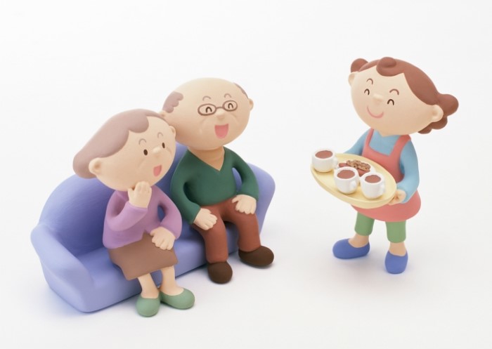 보건복지부 노인맞춤돌봄서비스시스템 ( s-care.mohw.go.kr )