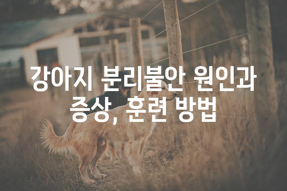 강아지 분리불안 원인과 증상, 훈련 방법