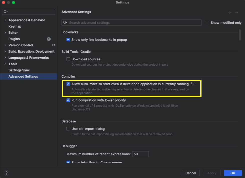 IntelliJ - spring boot dev tools config