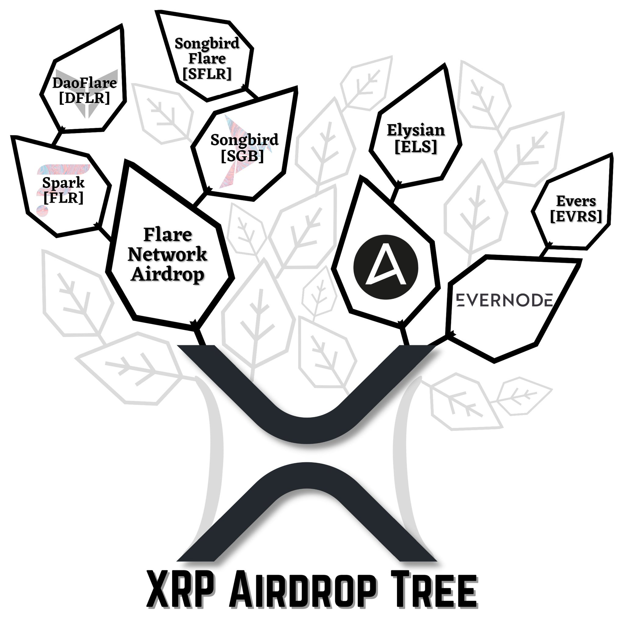 리플 추가 에어드랍 (엘리시안)