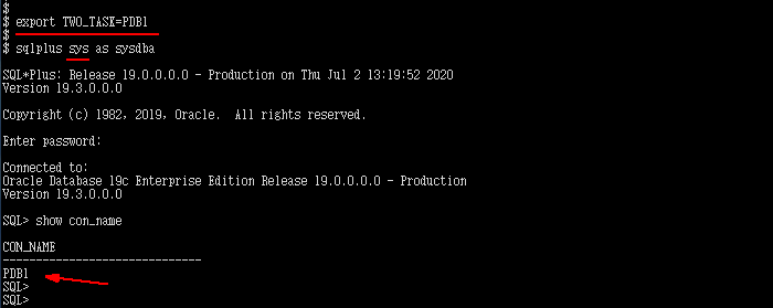 오라클 멀티테넌트 DB 접속 방법 (Connect Multi-Tenant by SQLPlus)