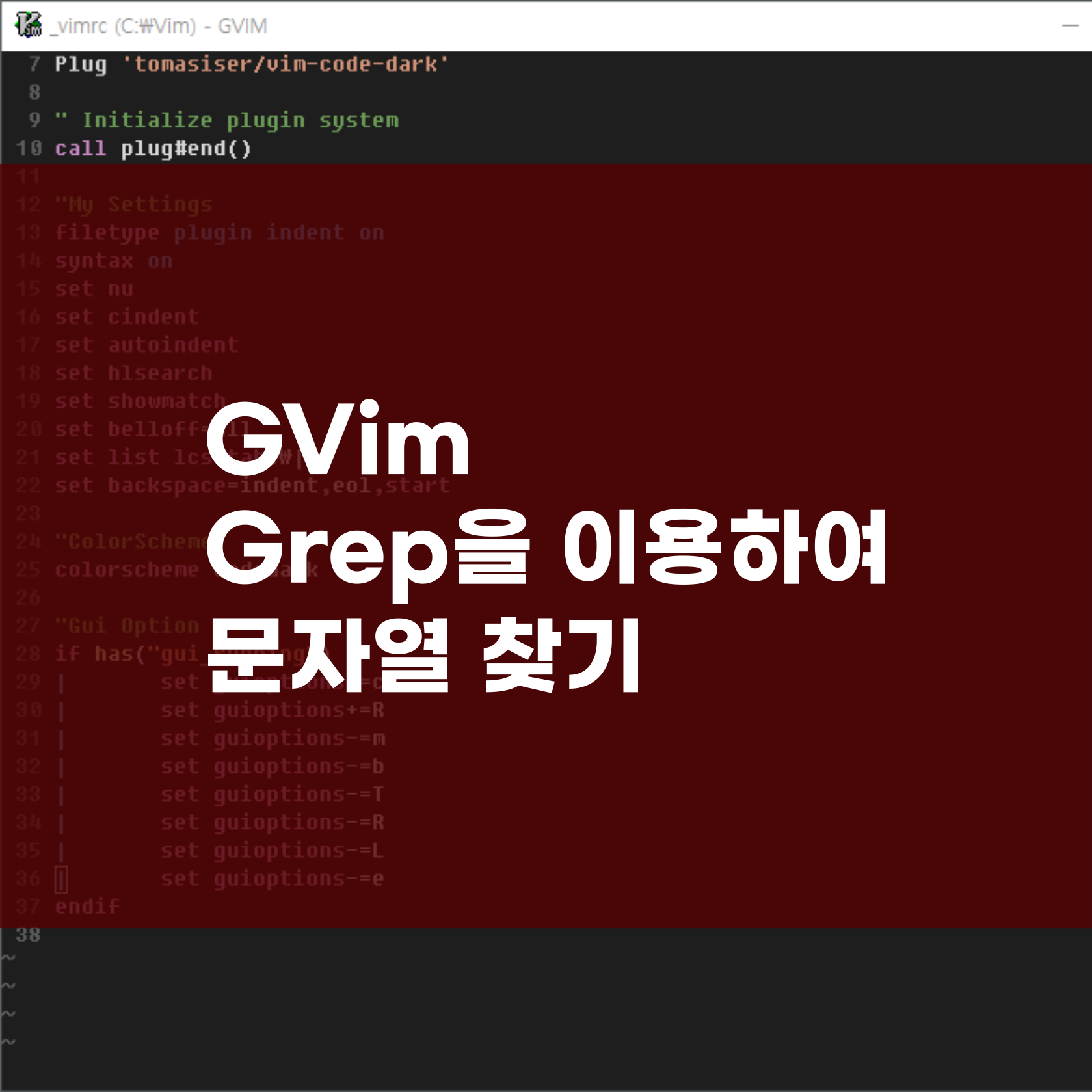 GVim 에서 Grep 사용하기 (Grep을 이용하여 문자열 찾기)