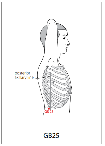 족소양담경(GB) > GB25 경문 (京門) - 오케파파(OKePaPa)의 세상