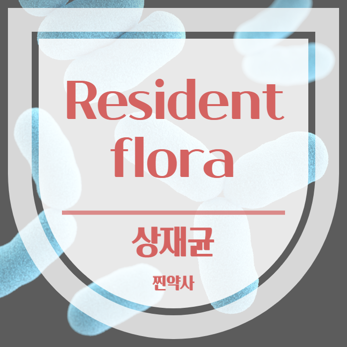 상재균, 우리 몸에 서식하는 세균 - 열공해보자