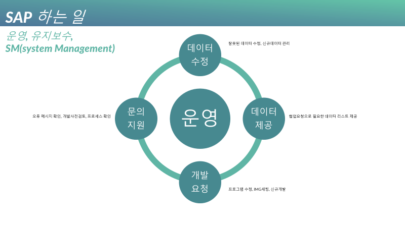 제 3편 Sap 개발자 컨설턴트 실무은 Sap린이의 커리어