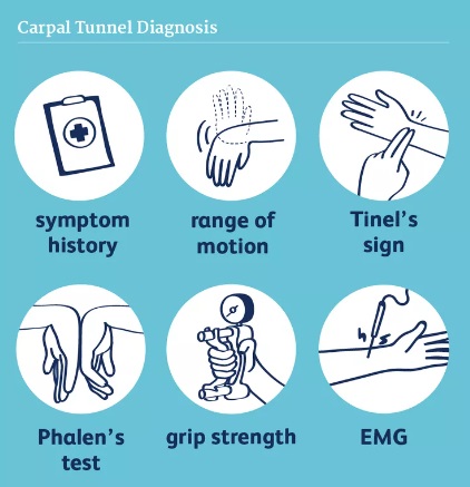 Median nerve 해부학 정리 손목터널증후군(CTS)원인 증상 예방