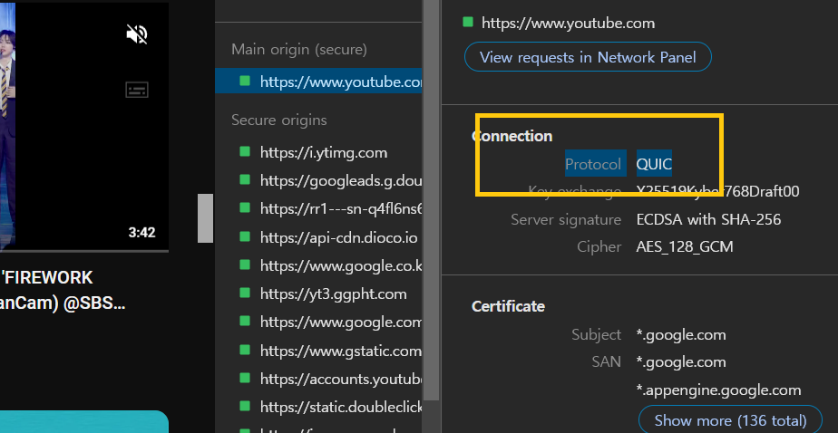 웹사이트 tls 적용 버전 확인 방법