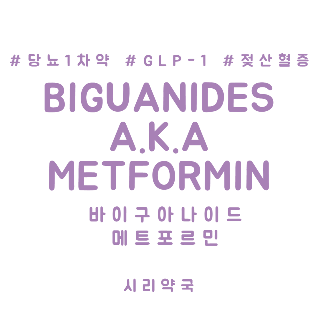 당뇨약 메트포르민 Metformin (Biguanides)