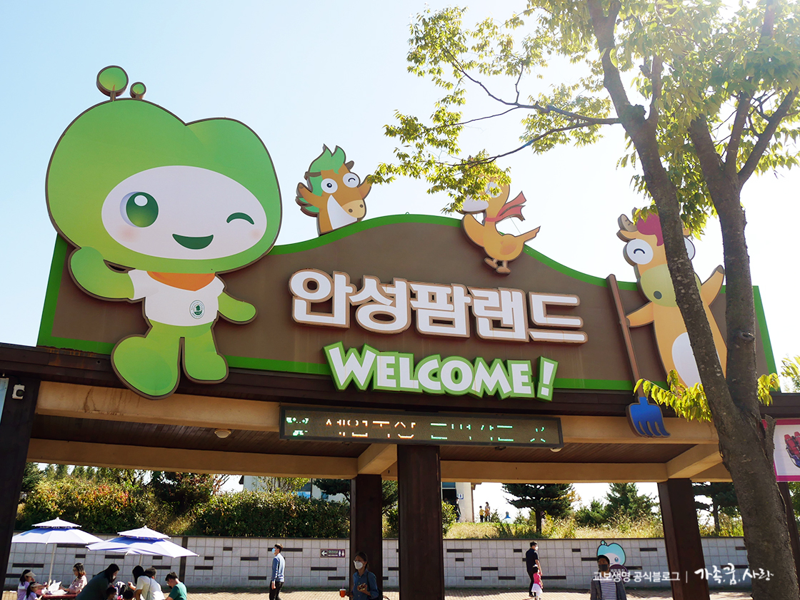 수도권 당일 여행, 핑크뮬리와 주홍 코스모스의 향연 ‘안성팜랜드’