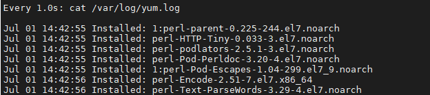 [Linux / watch] 리눅스의 watch 명령어로 시스템 실시간 모니터링하기