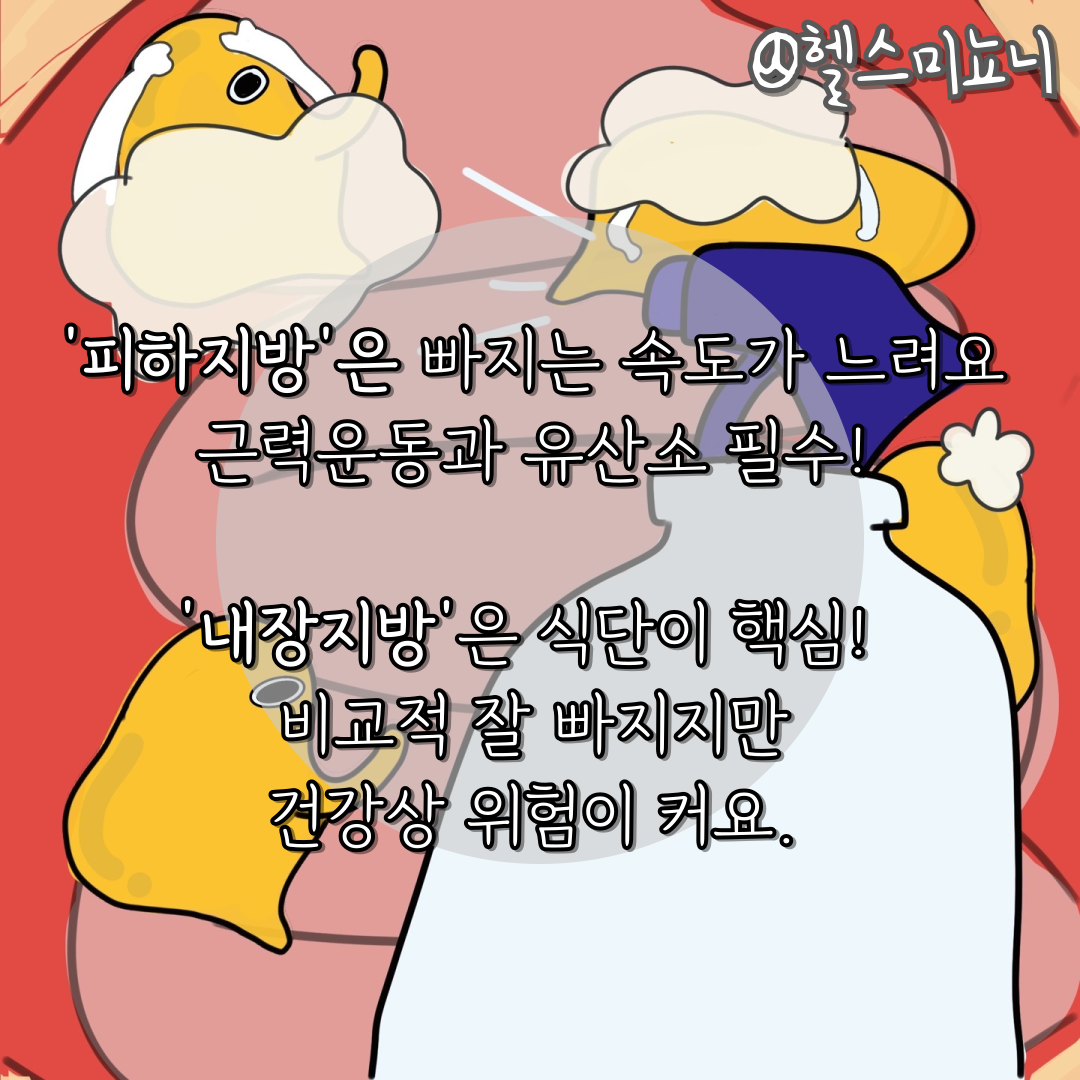 피하지방과 내장지방 줄이는 방법 2탄 체질 습관별원인