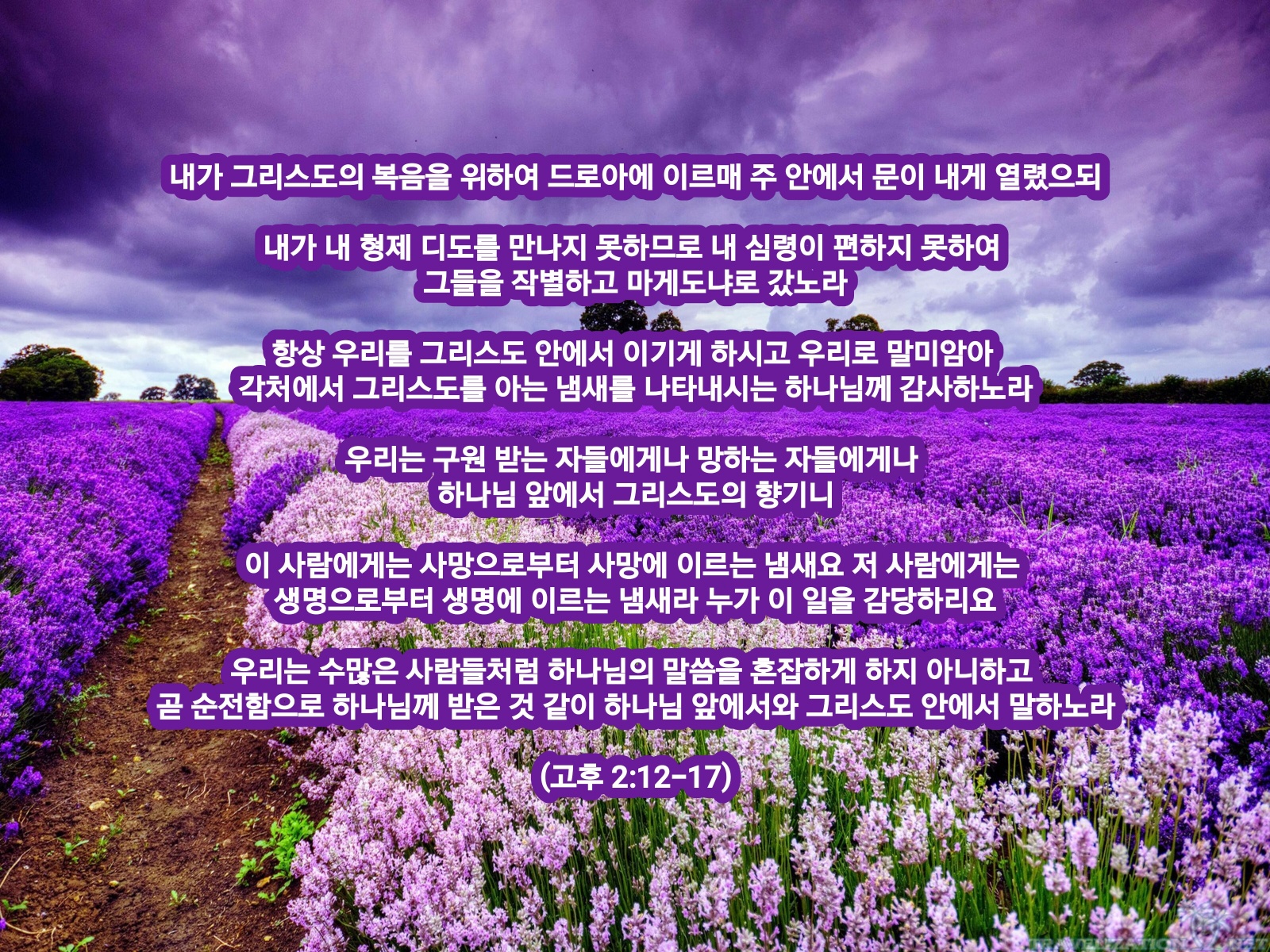 우리는 구원 받는 자들에게나 망하는 자들에게나 하나님 앞에서 그리스도의 향기니