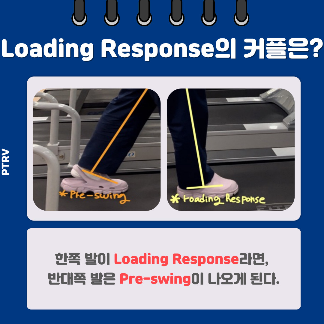 NS PT의 간단한 보행주기 분석 2 Gait Cycle [Stance] Loading Response