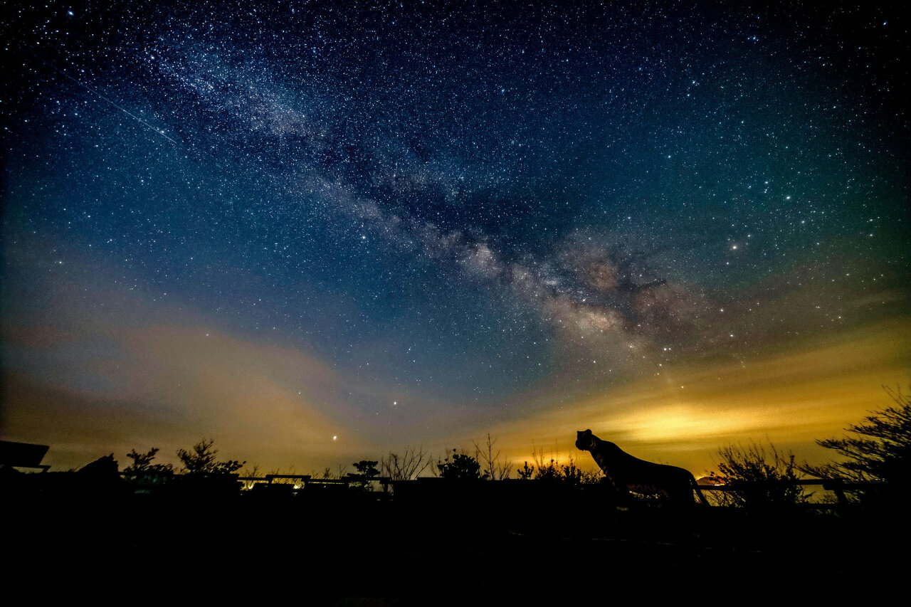 슬로시티 청산도! 2023 청산도 슬로걷기축제 정보