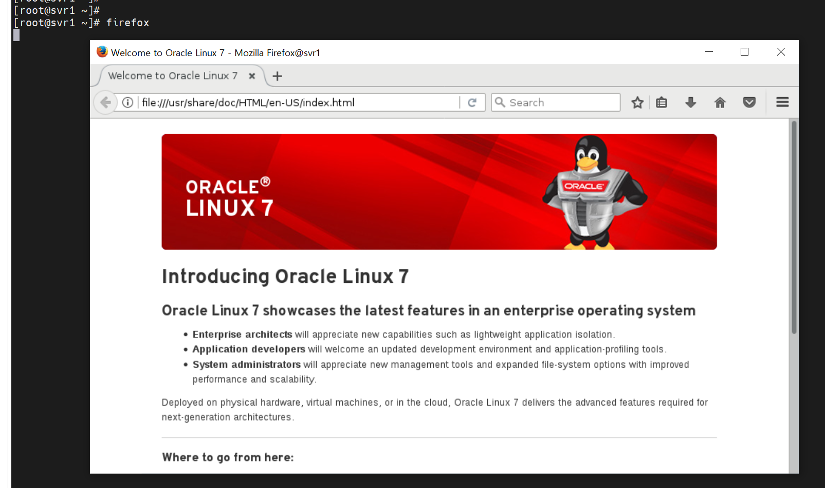 MobaXterm 에서 GUI 프로그램 실행 실패