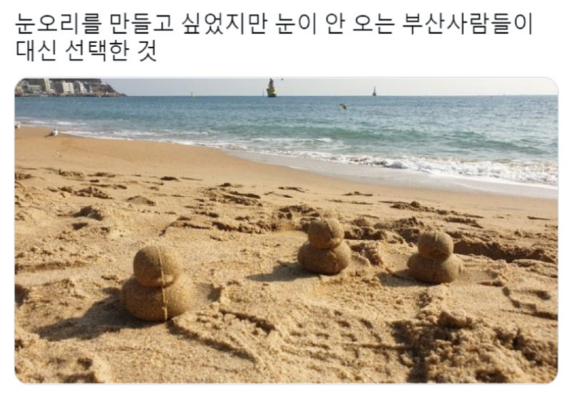 부산식 눈오리