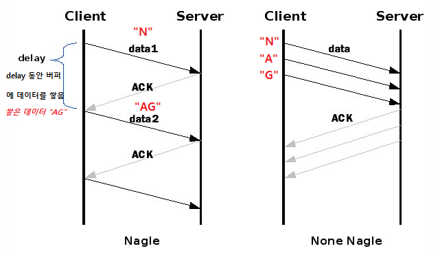 TCP/IP | Nagle 알고리즘 (TCP_NODELAY) — 안전지대