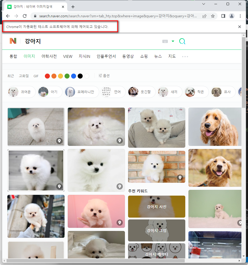 Selenium Find element by css selector 