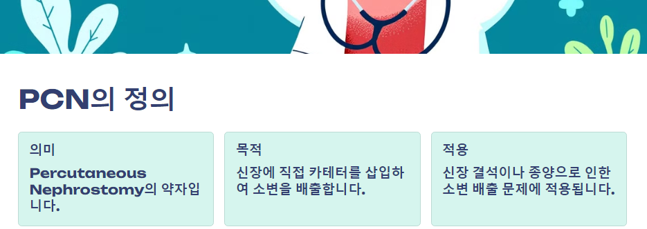 PCN 의학용어 의미 시술 과정 적응증 장,단점 주의사항!