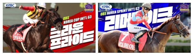 한국마사회 경마정보 홈페이지 (https://race.kra.co.kr) 바로가기