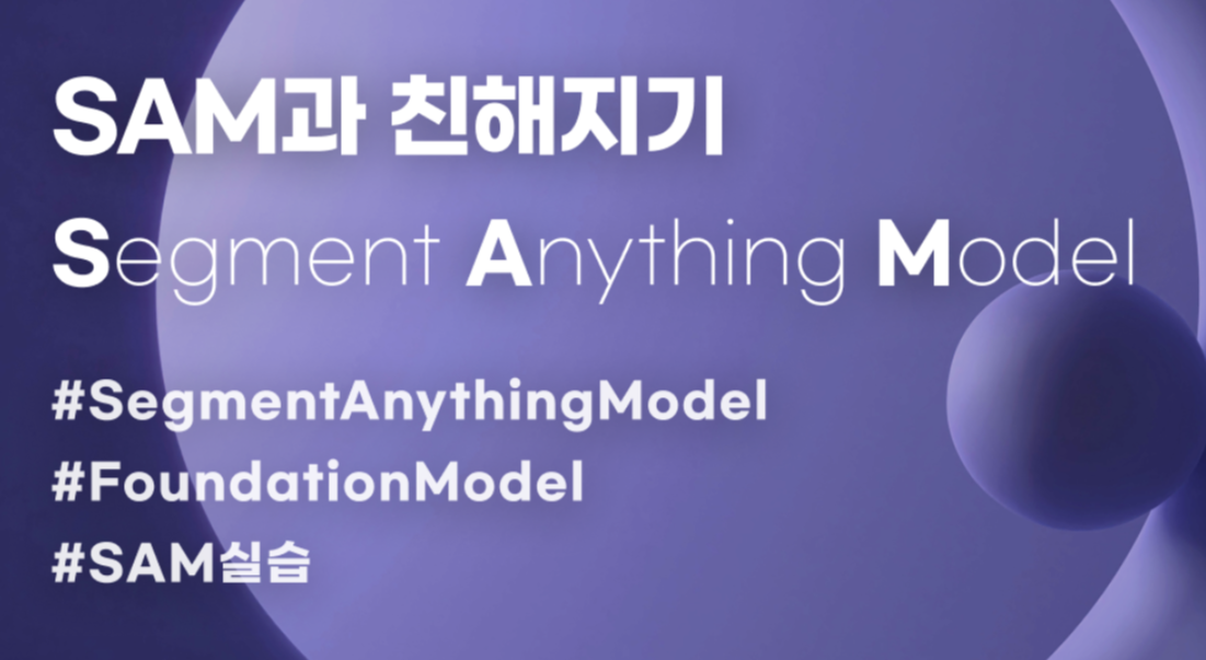 SAM - Segment Anything Model :: _heyna의 작업실_