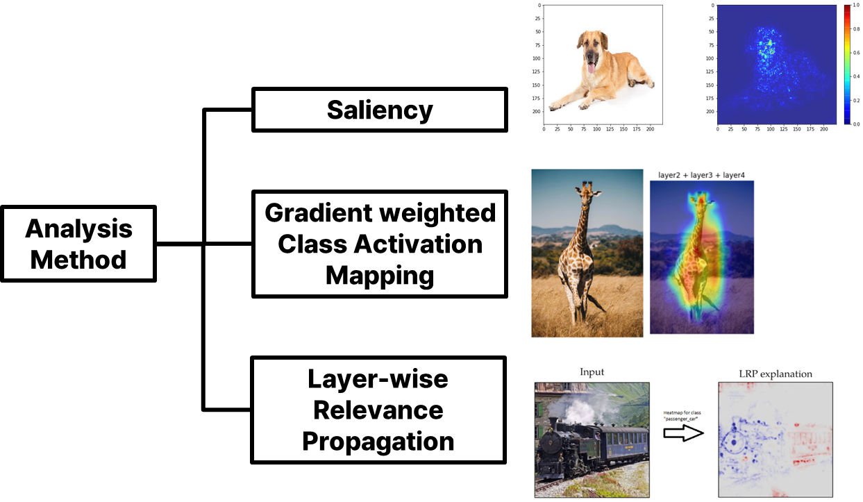 What do neural networks learn in image classification? A frequency shortcut perspective ...