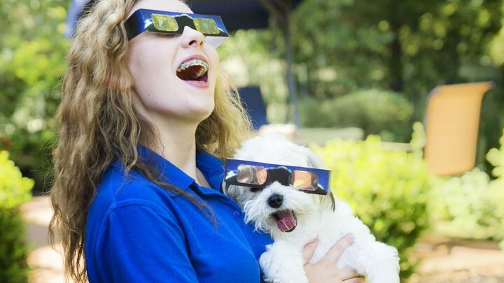 Solar Eclipse With Pets: Safety Concerns & Health Issues