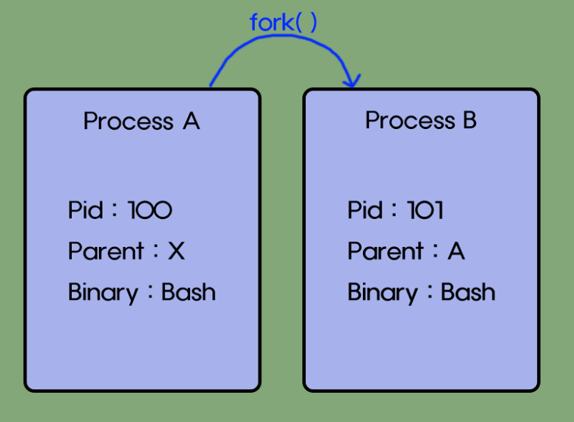 프로세스 생성, 대체, 종료