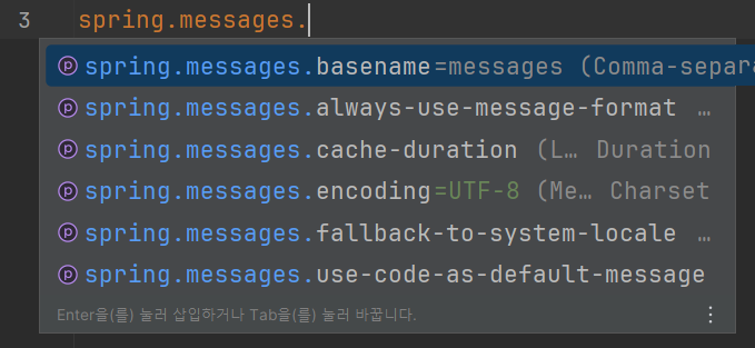 메시지, 국제화