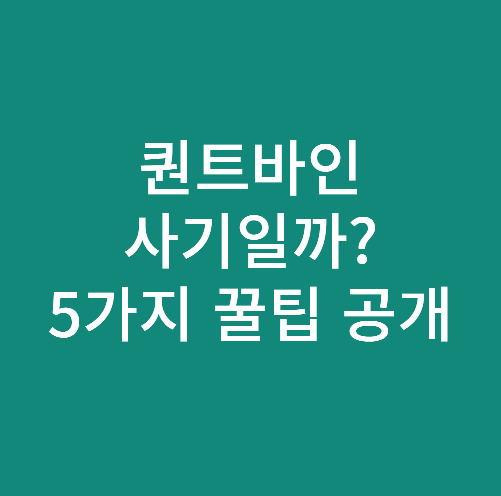 퀀트바인 투자 괜찮을까? 사기 피해 및 안전한 출금 방법 5가지 꿀팁