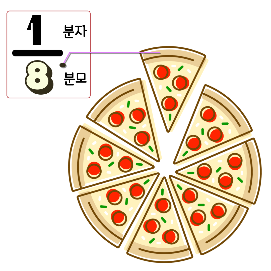 분수 분수 뜻 진분수 가분수 대분수