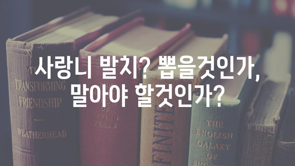 사랑니 발치? 뽑을것인가, 말아야 할것인가?